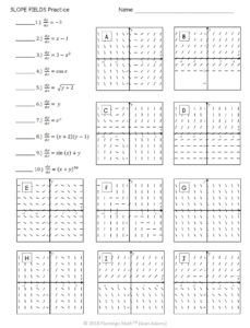 Slope Field Lesson and Practice - Flamingo Math with Jean Adams