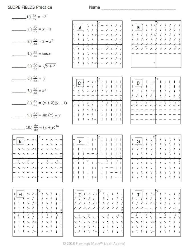 Slope Field Lesson and Practice - Flamingo Math with Jean Adams