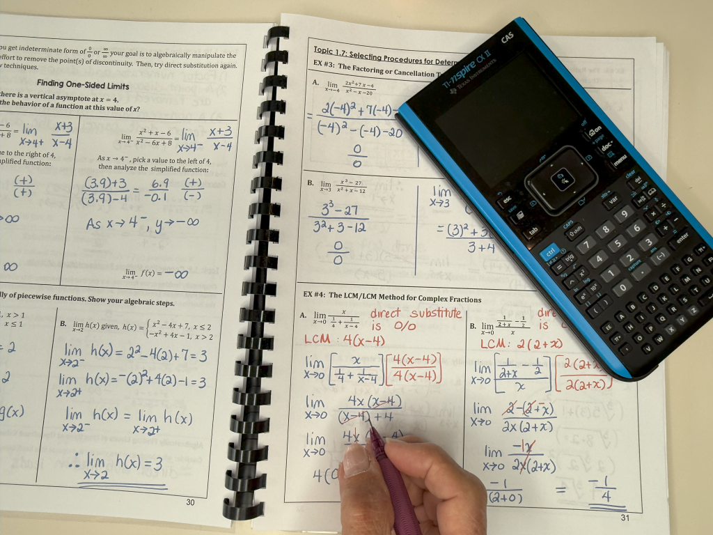 AP Calculus AB Big Bundle - Flamingo Math with Jean Adams